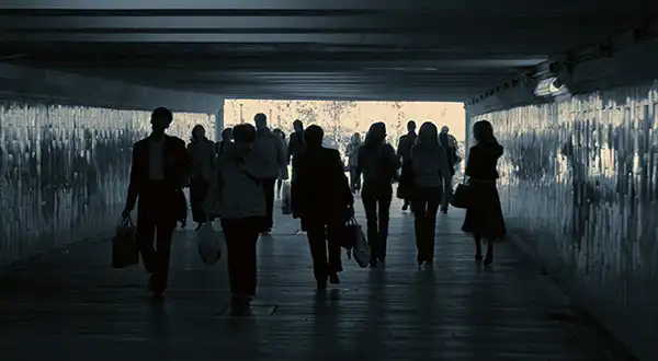 Het vertrouwensbeginsel en handhaving